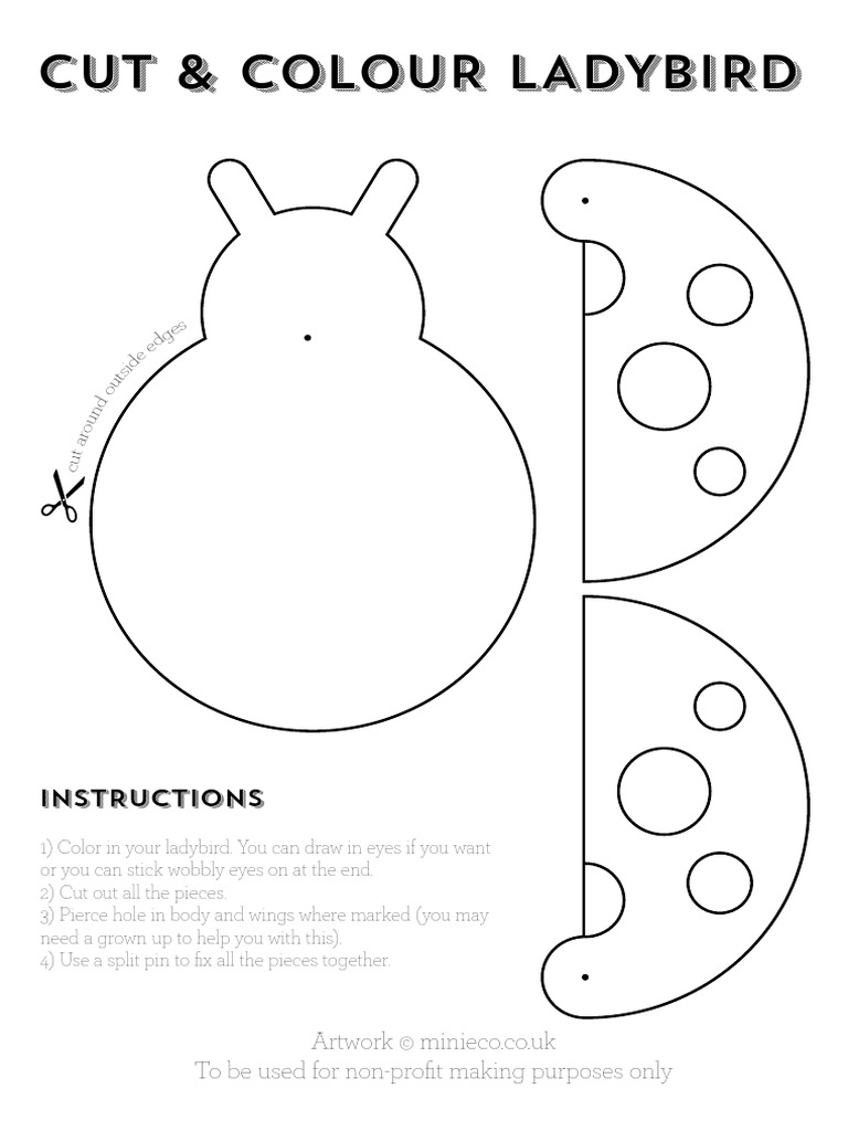 Ladybird Cut and Colour | Download Free PDF | Nature