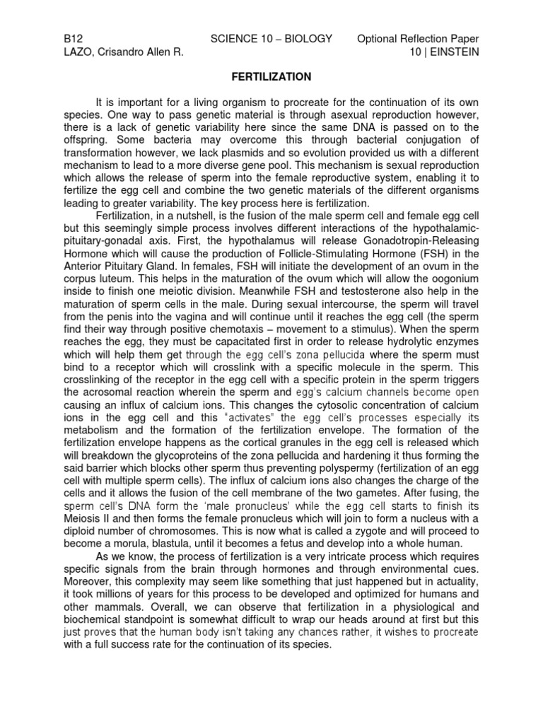 Fertilization Reflection Paper | PDF | Menstrual Cycle | Fertilisation