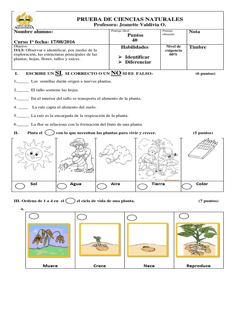 Prueba Ciencias 2 (1) | Plantas | Hoja