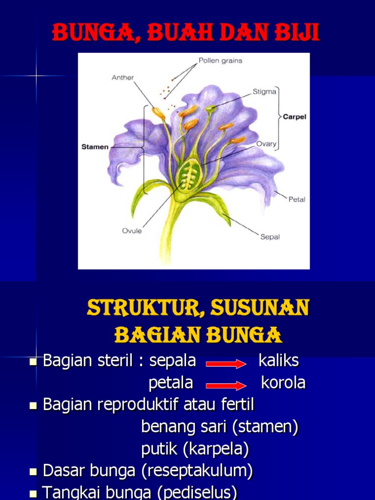 Morfologi BUNGA | PDF