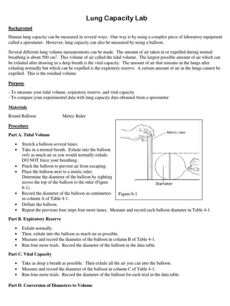 Lung Capacity Lab 1 | PDF | Exhalation | Volume