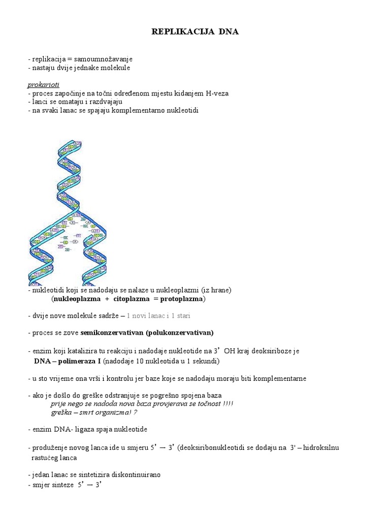 Replikacija - Dna - Popunjeno | PDF