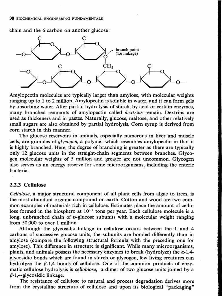 Biochemical Engineering Fundamentals - Parte 2 | PDF | Rna | Ribosomal Rna