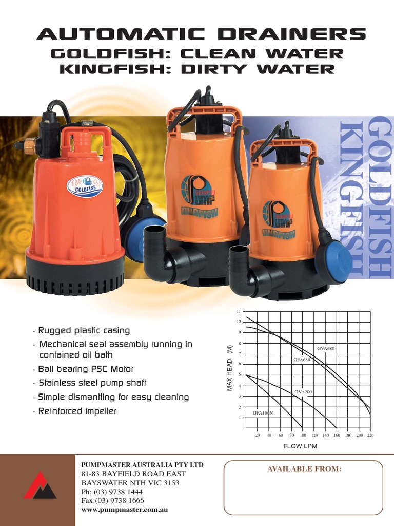 Goldfish Kingfish Flyer | PDF