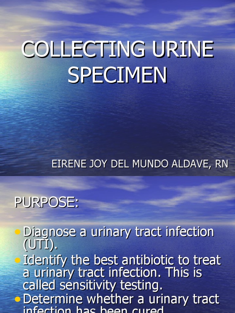Collecting Urine Specimen | PDF | Catheter | Urinary Tract Infection