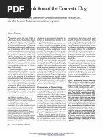 IPAF Pre-Use Inspection Check List TE-1049-EN - V3.0-20240815 | PDF ...