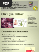 Flora Residente, Flora Transitoria, Transmisión Cruzada y Fómites | PDF ...