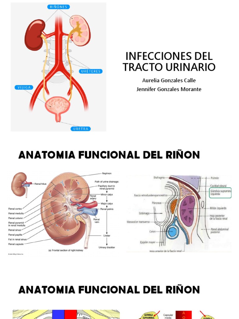 Itu | PDF | Especialidades Medicas | Medicina CLINICA