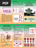 Leaflet IVA Test | PDF