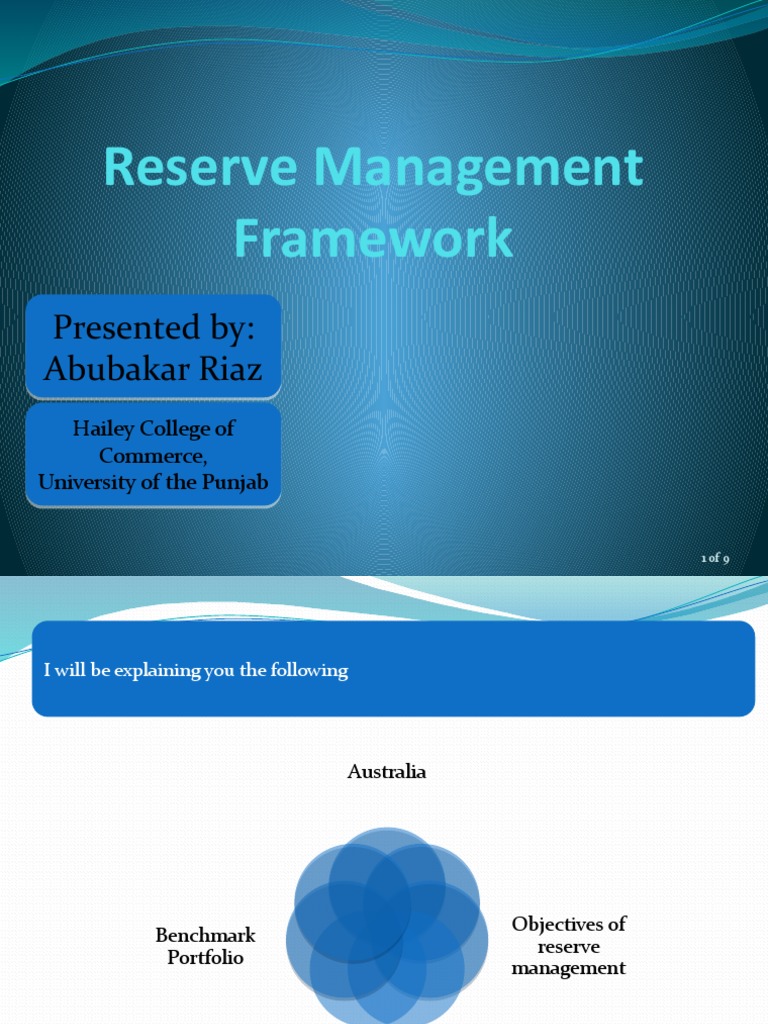 Reserve Management Framework Guide | PDF | Government Bond ...