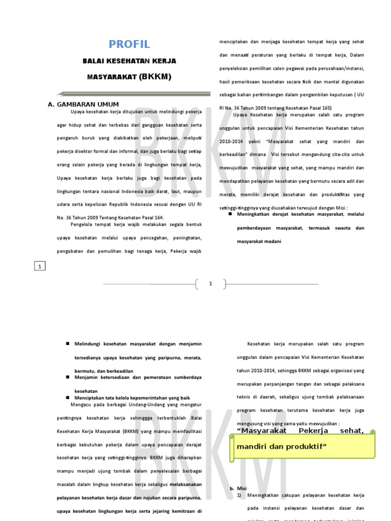 Profil BKKM | PDF