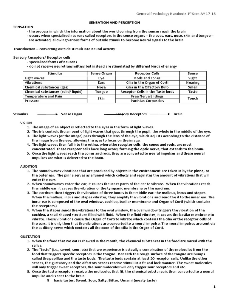 Sensation and Perception Handouts | PDF | Senses | Stimulus (Physiology)