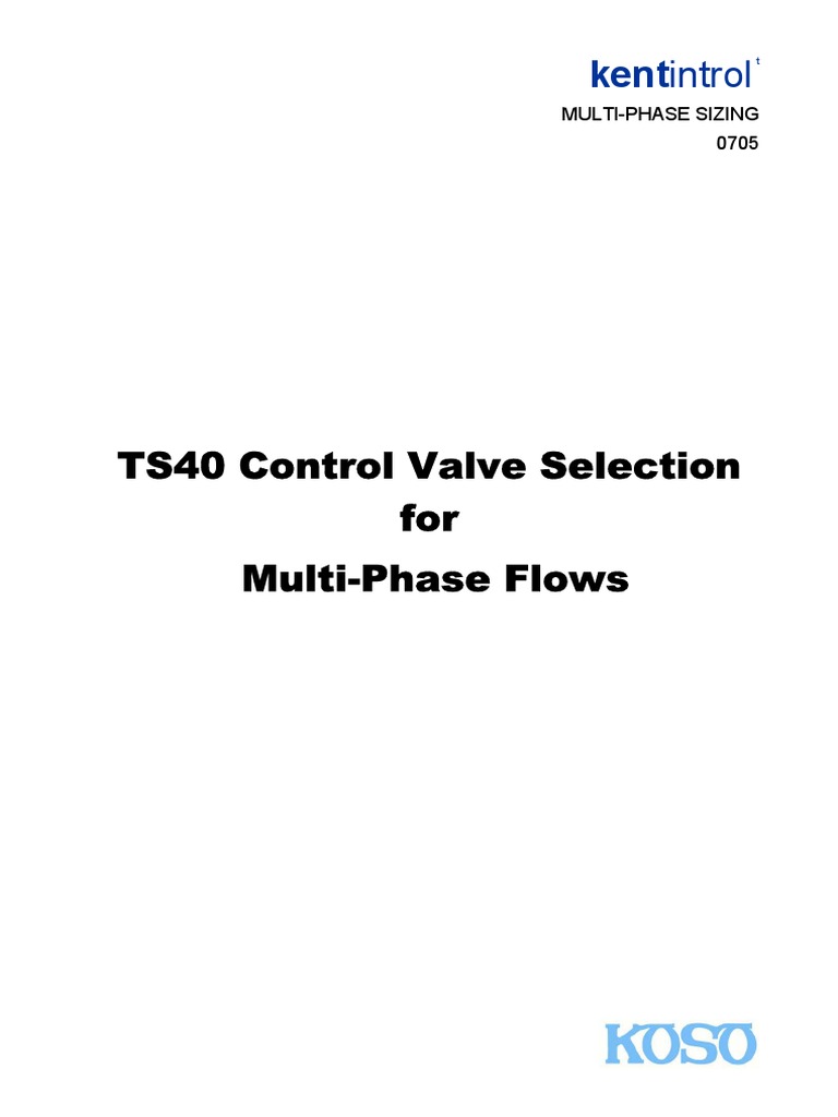 Multi-Phase Control Valve Sizing Guide | PDF | Fluid Dynamics | Valve