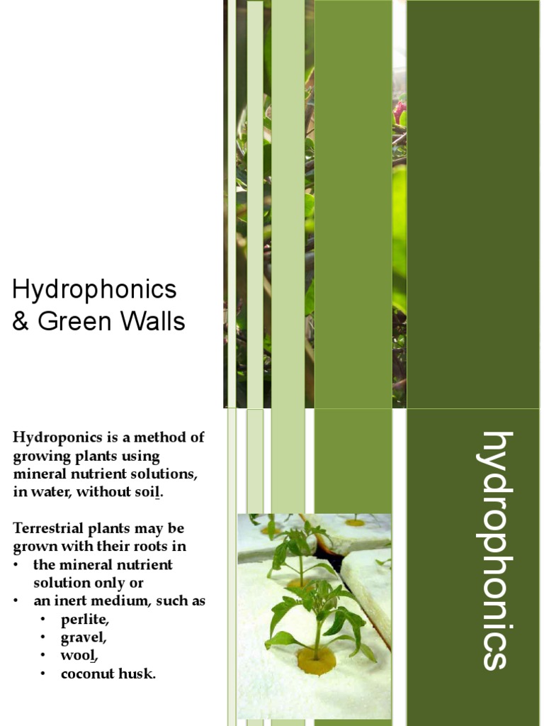Hydrophonics & Green Walls | PDF | Hydroponics | Horticulture And Gardening