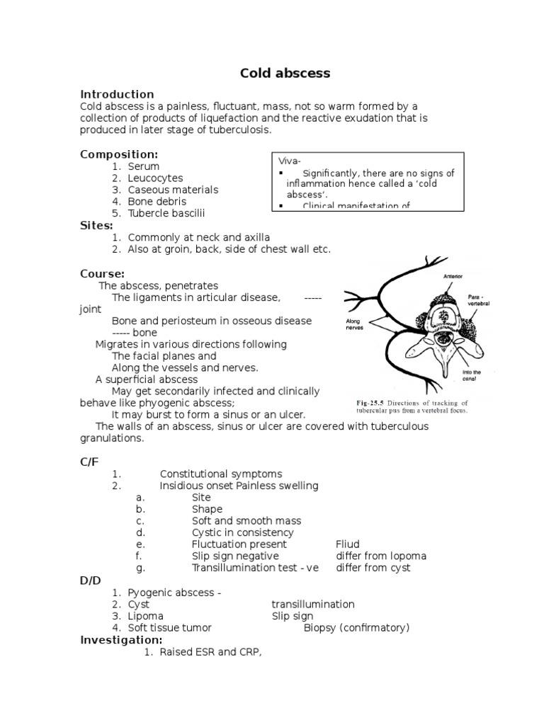 Cold Abscess | Tuberculosis | Anatomy