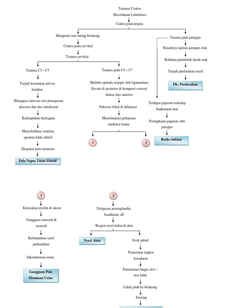 PATHWAY Trauma Servikal | PDF