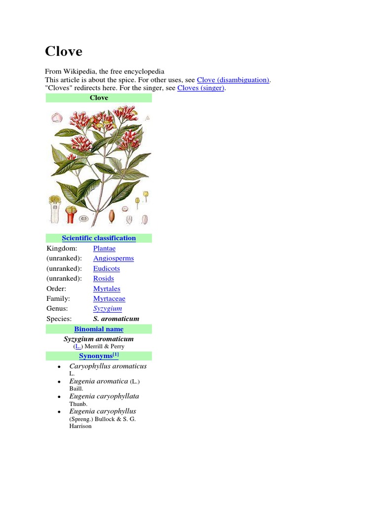 Everything You Need to Know About Cloves | PDF | Clove | Medicine