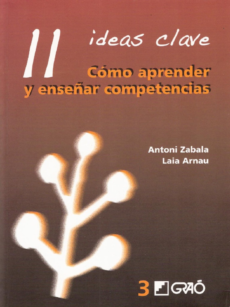 11 Ideas Clave Cómo Aprender y Enseñar PDF | PDF