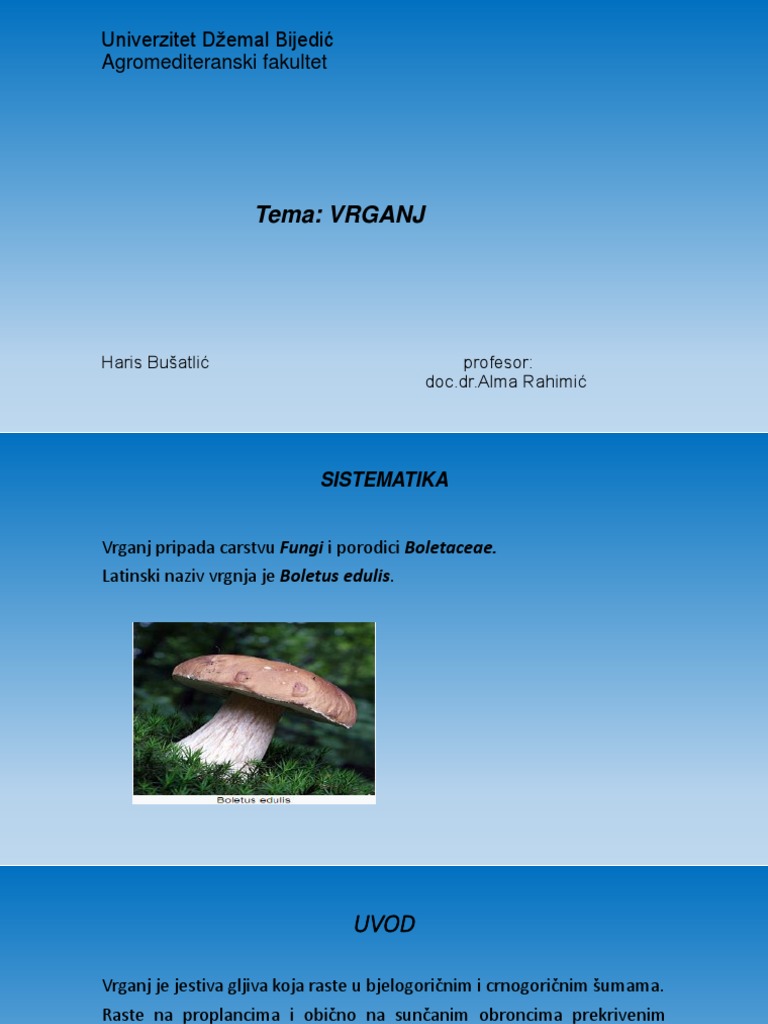 Prezentacija VRGANJ | PDF