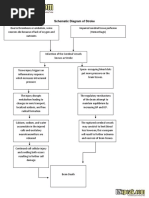 Stroke Pathophysiology Diagram | PDF