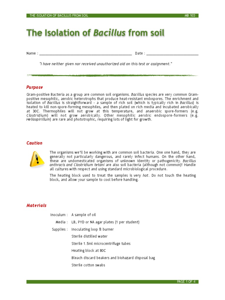 The Isolation of Bacillus From Soil: Purpose | PDF | Bacillus | Bacteria