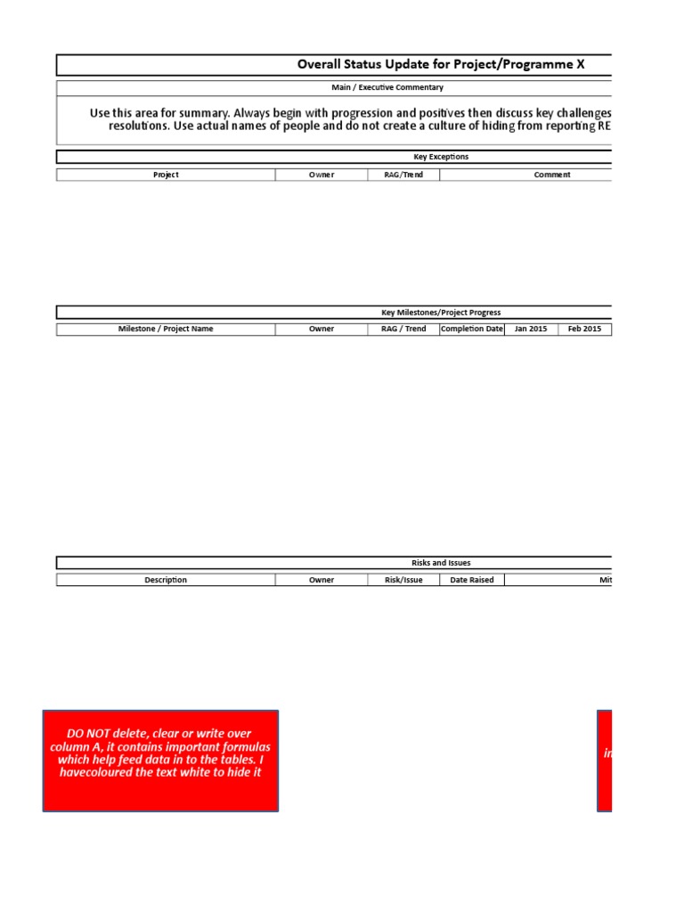 PMO Project Programme Status Update RAID Milestones Template 6 Month ...