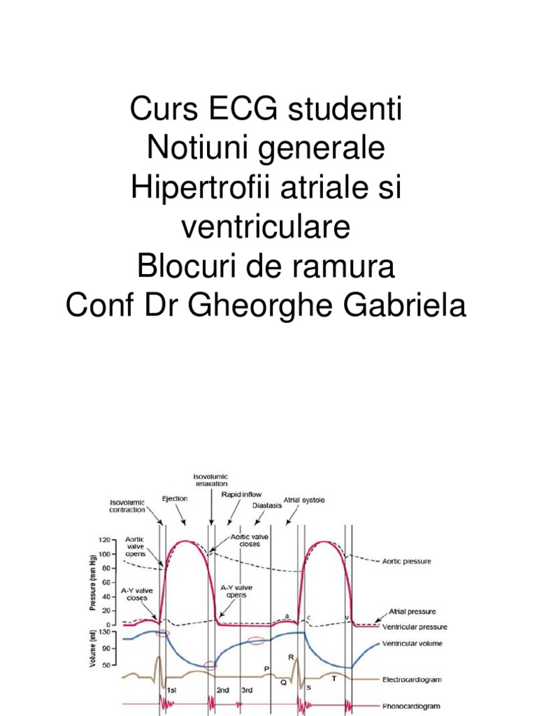 Curs ECG Studenti | PDF