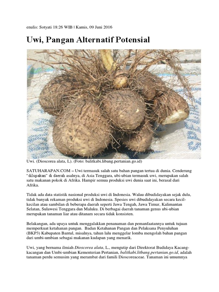 31+ Gambar Tanaman Uwi Jaman Now - Informasi Seputar Tanaman Hias