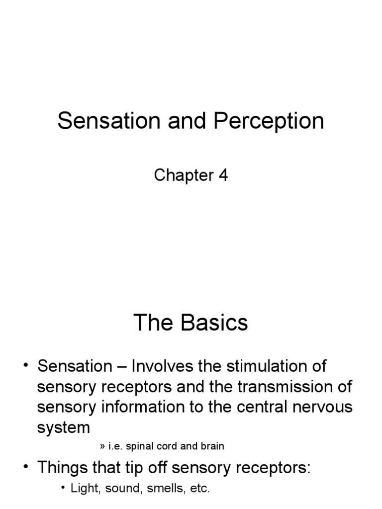 Sensation and Perception Fundamentals | PDF | Senses | Perception