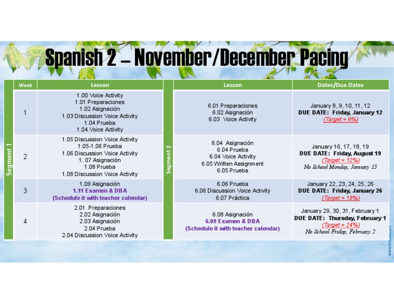 Spanish 2 - January | PDF