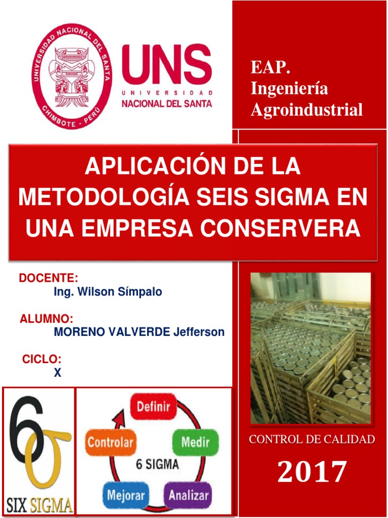 Aplicación de La Metodología Seis Sigma en Una Empresa Conservera ...