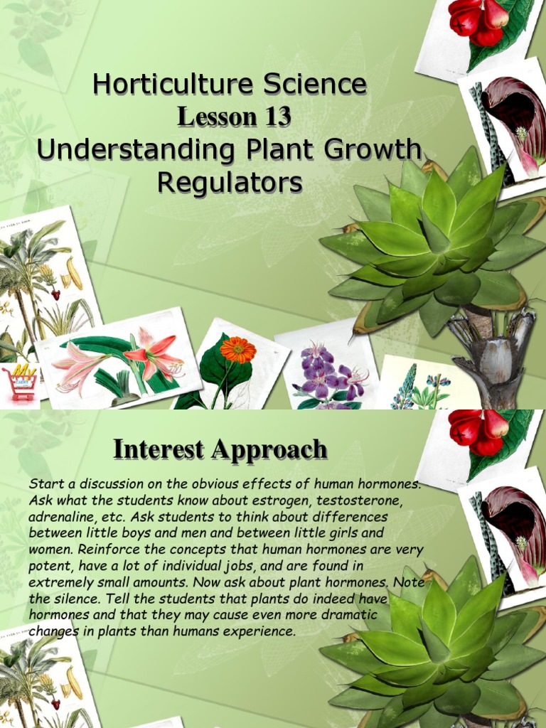 Horticulture Science Understanding Plant Growth Regulators: Lesson 13 ...