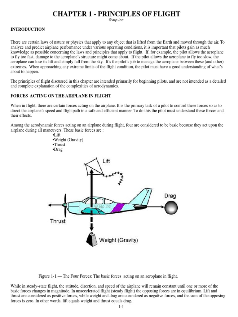 Principles of Flight PDF | PDF | Lift (Force) | Aileron