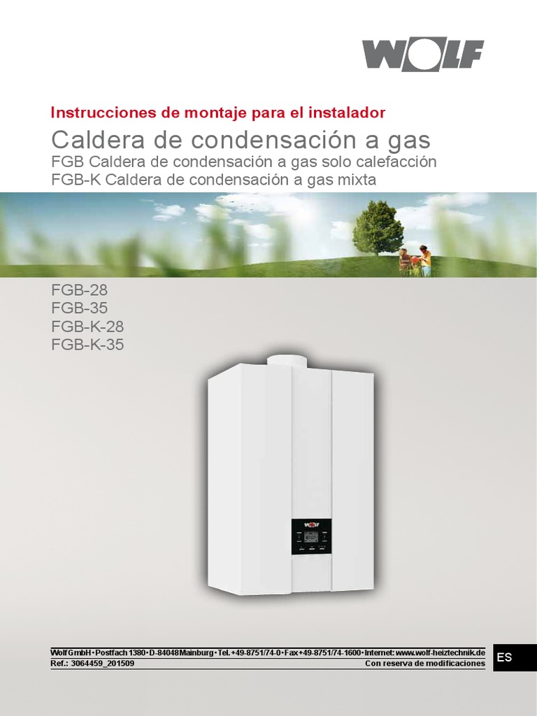 Wolf FGB | PDF | Caldera | Ingeniería Química