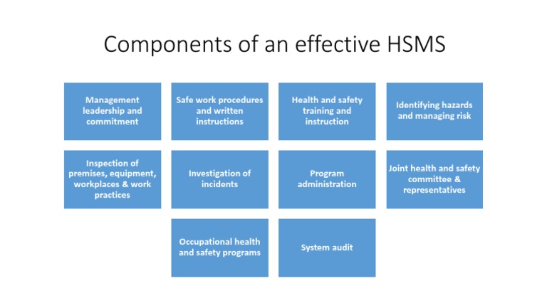 Components of An Effective HSMS | PDF
