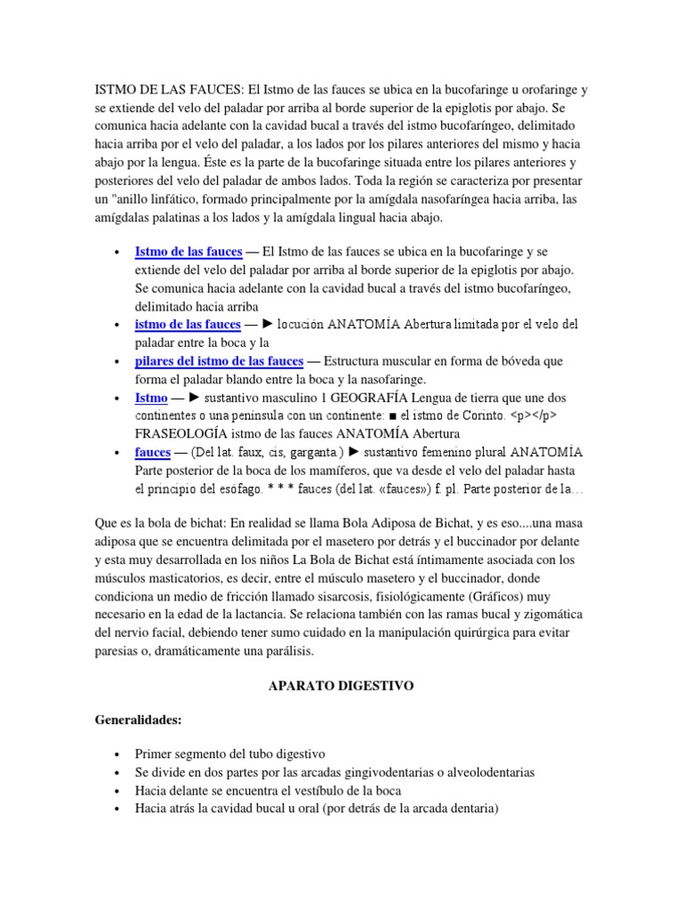 Anatomía del Istmo de las Fauces | PDF | Sistema musculoesquelético ...