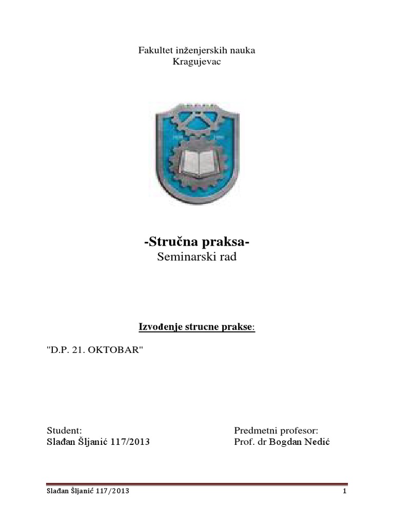 Dnevnik Prakse | PDF