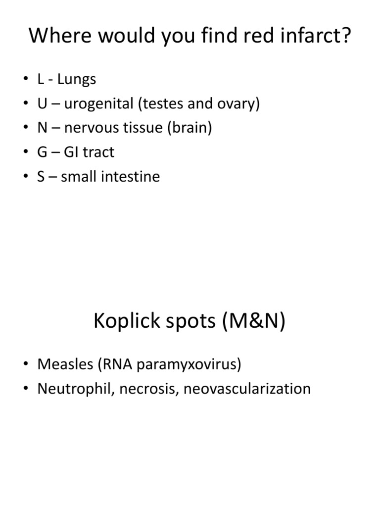 Where Would You Find Red Infarct? | PDF | Wellness