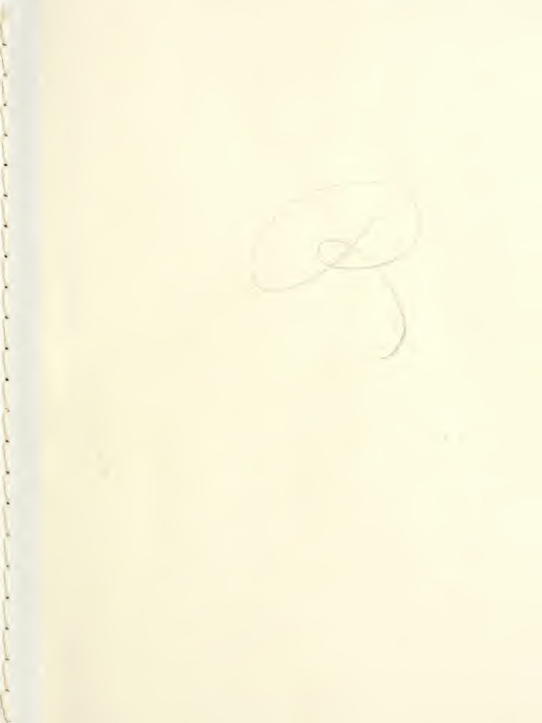 Spiritualism & Aura Exploration | PDF | Mediumship | Rainbow