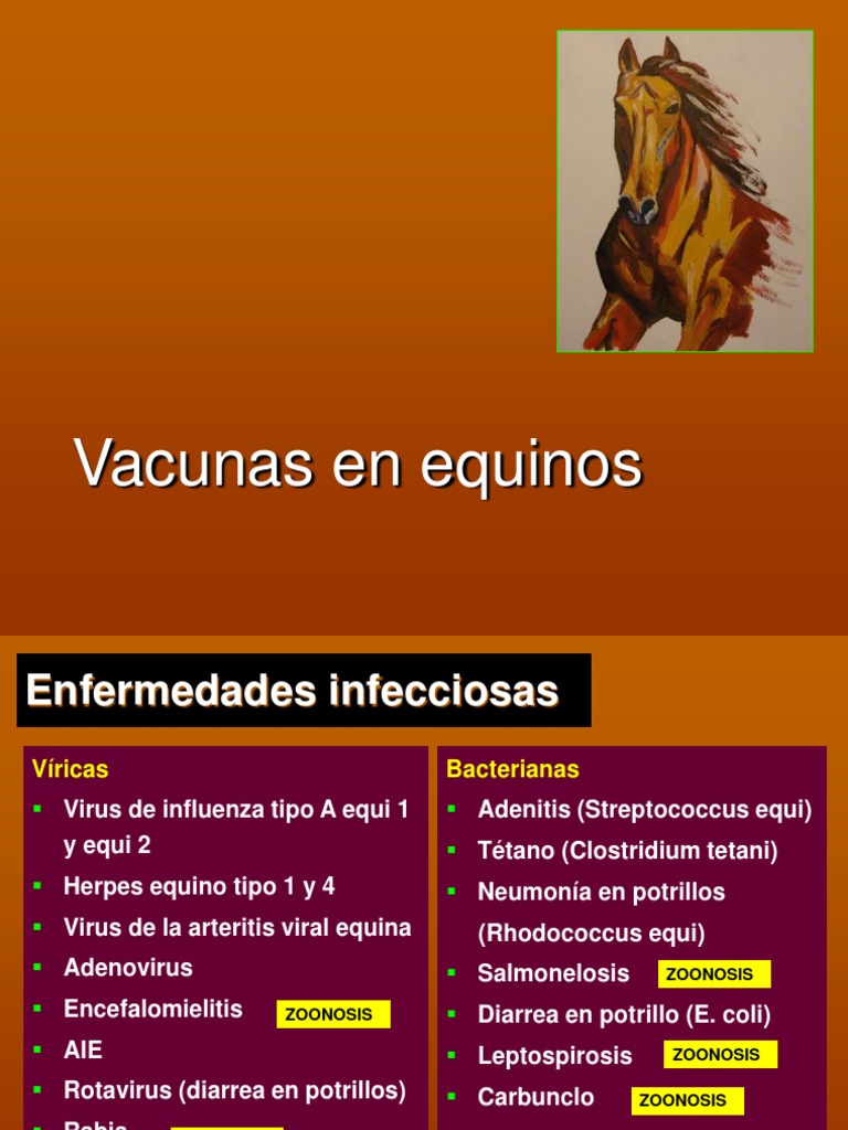 Clase XI | PDF | Vacunas | Influenza