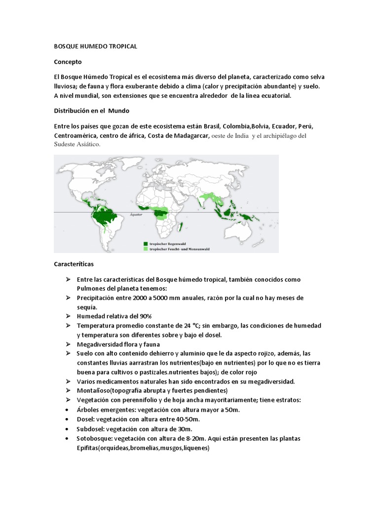 Bosque Humedo Tropical | PDF | Ciencias de la Tierra | Geografía Física