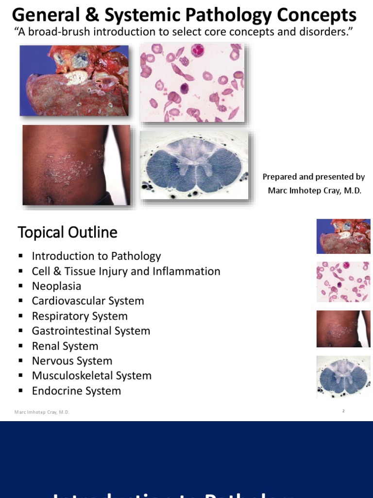 General & Systemic Pathology Concepts - A Global Overview | PDF ...