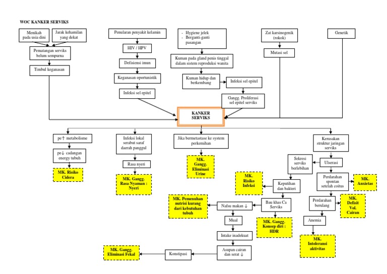 Woc Kanker Serviks | PDF