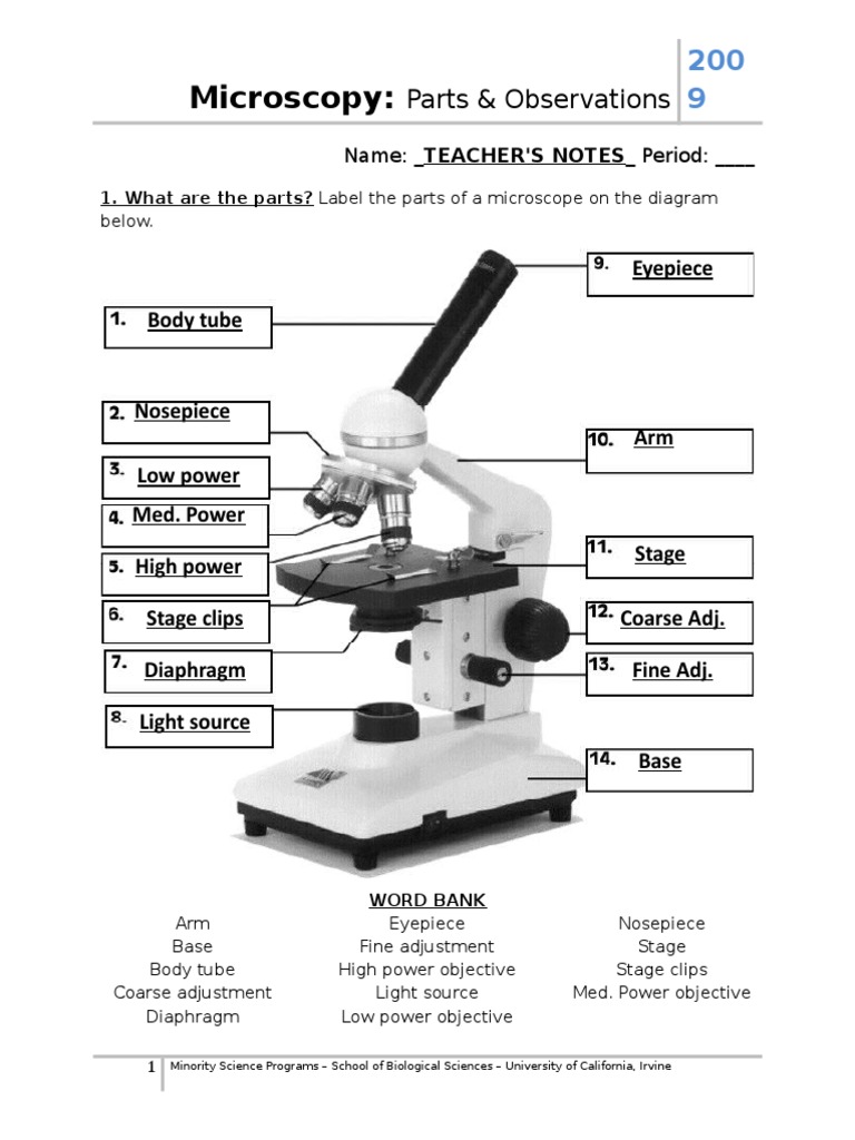 Parts Of A Microscope