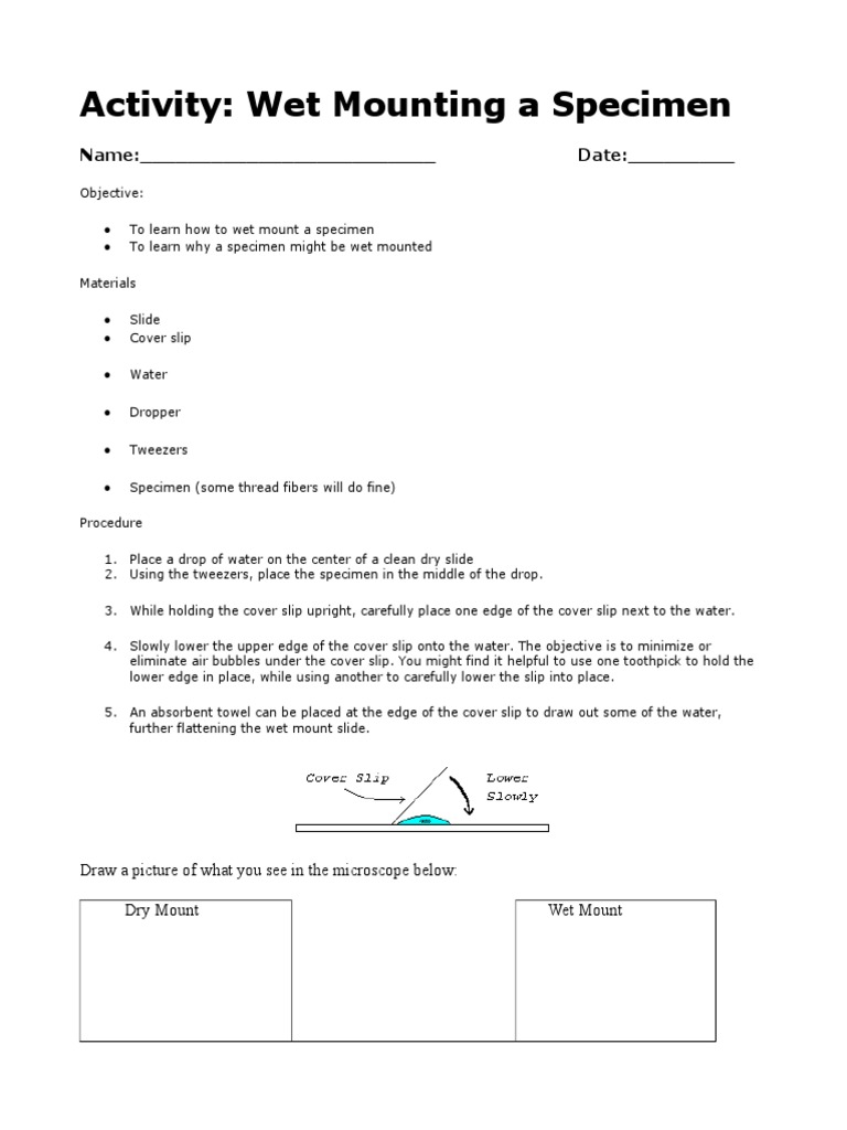 Activity: Wet Mounting A Specimen: Name: - Date | PDF