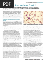 Cytologic Patterns - Eclinpath PDF | PDF | Neoplasms | White Blood Cell