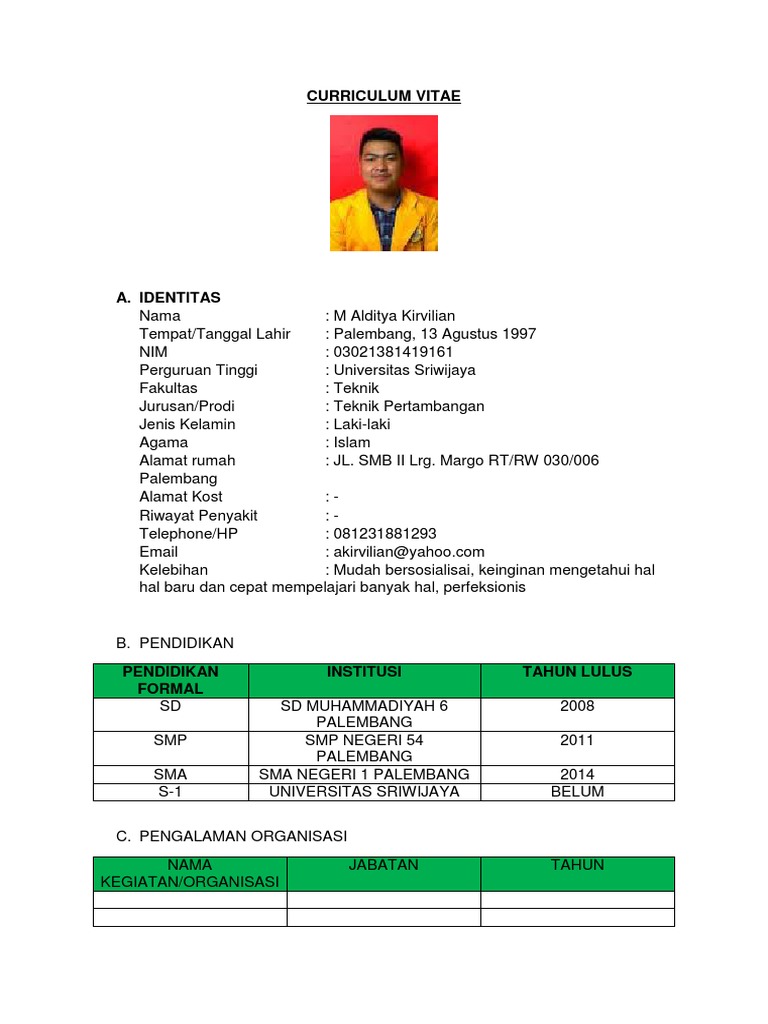 CURRICULUM VITAE Adit | PDF