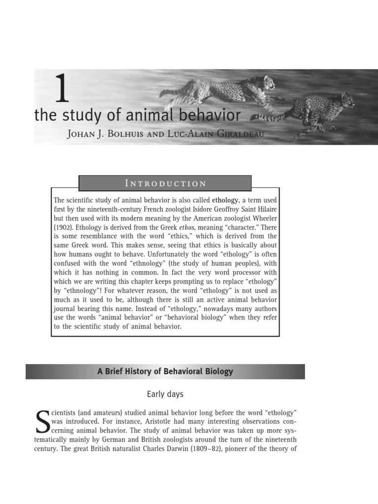 The Study of Animal Behavior: J Ohan J. Bolhuis and Luc-Alain Giraldeau ...