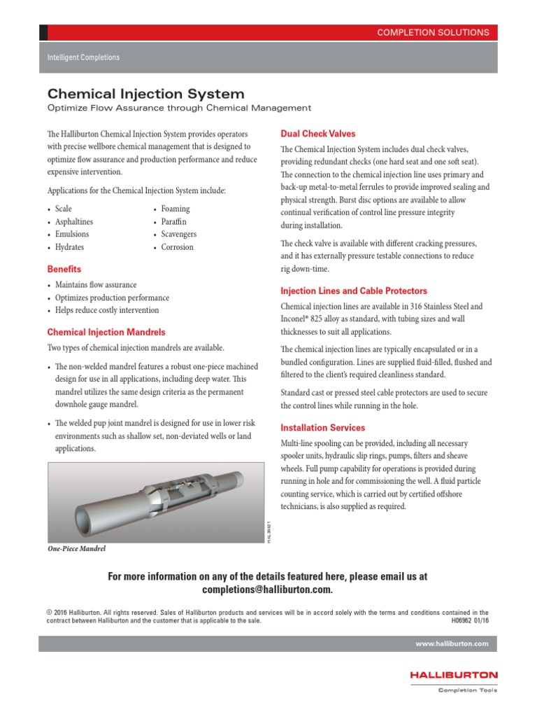 h06962 Chemical Injection System | PDF | Valve | Pump