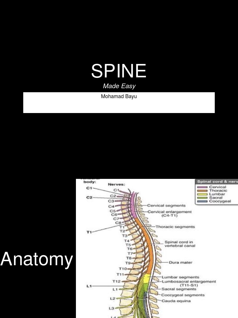 Spine: Made Easy | PDF